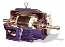 Cranes & Hoists Products - Parts, Repair, Engineering - Moore Services ...